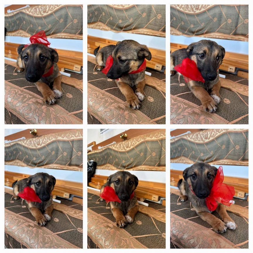 Вернули ребенка, плачет. Зозяйка в брлтнице