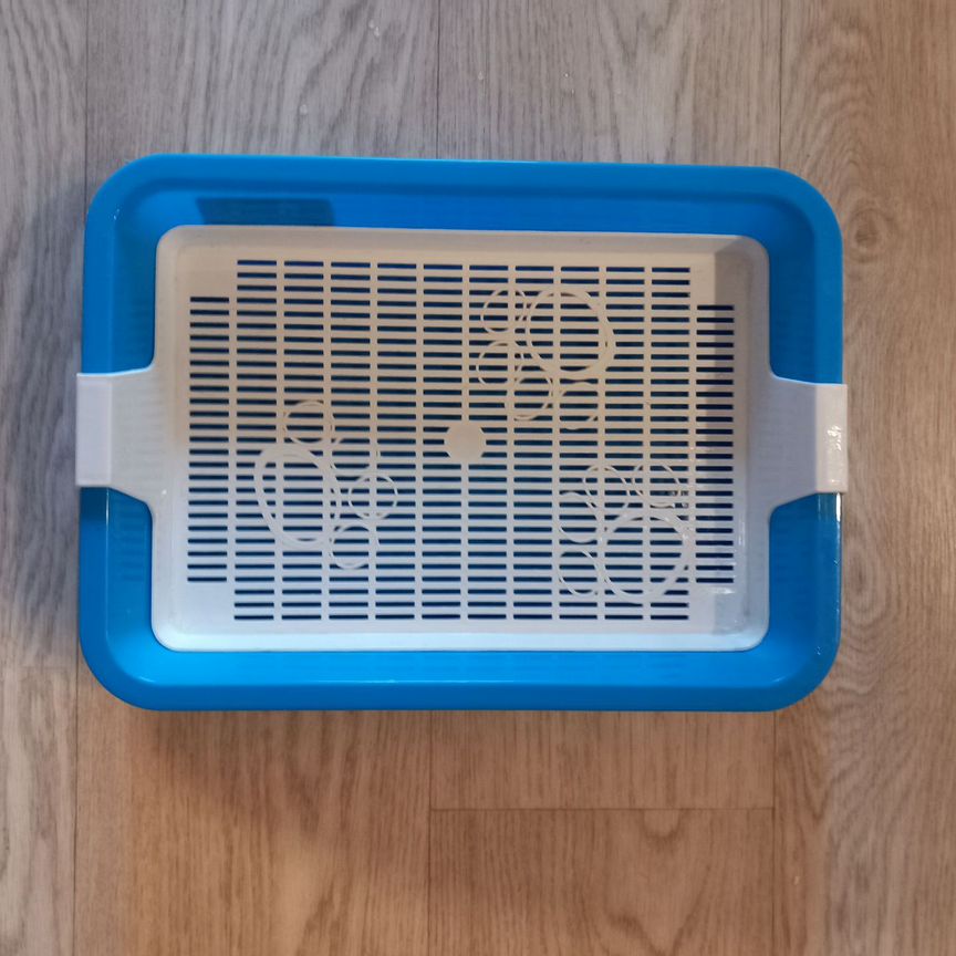 Лоток для котят