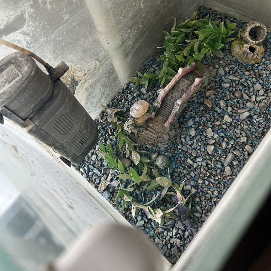 Отдам аквариум