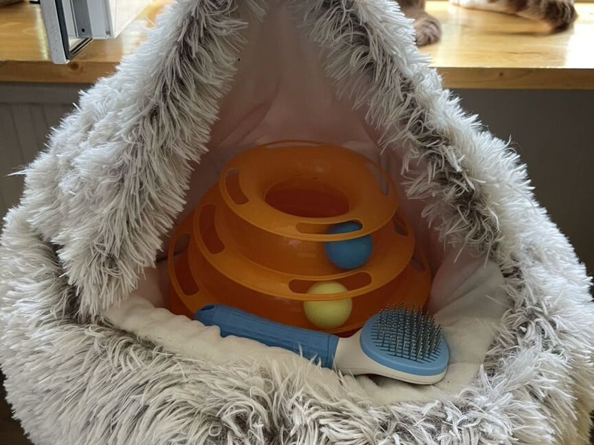 Лежанка - домик, расческа и игрушка для котов