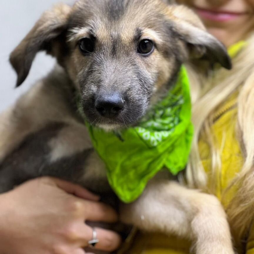 Малышка Искорка с надеждой ждёт своих родителей