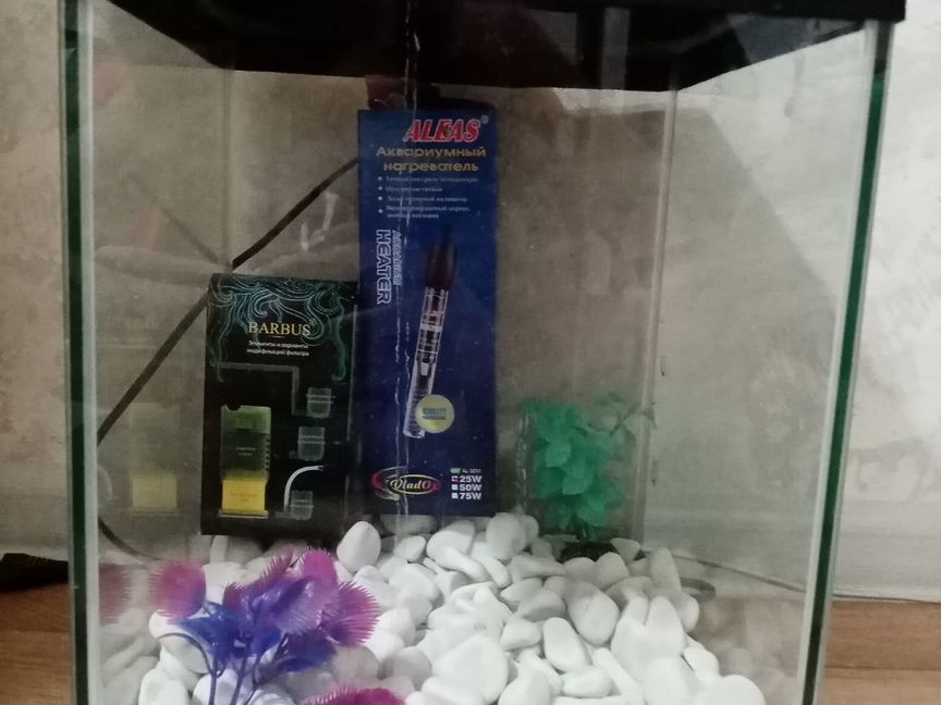 Аквариум