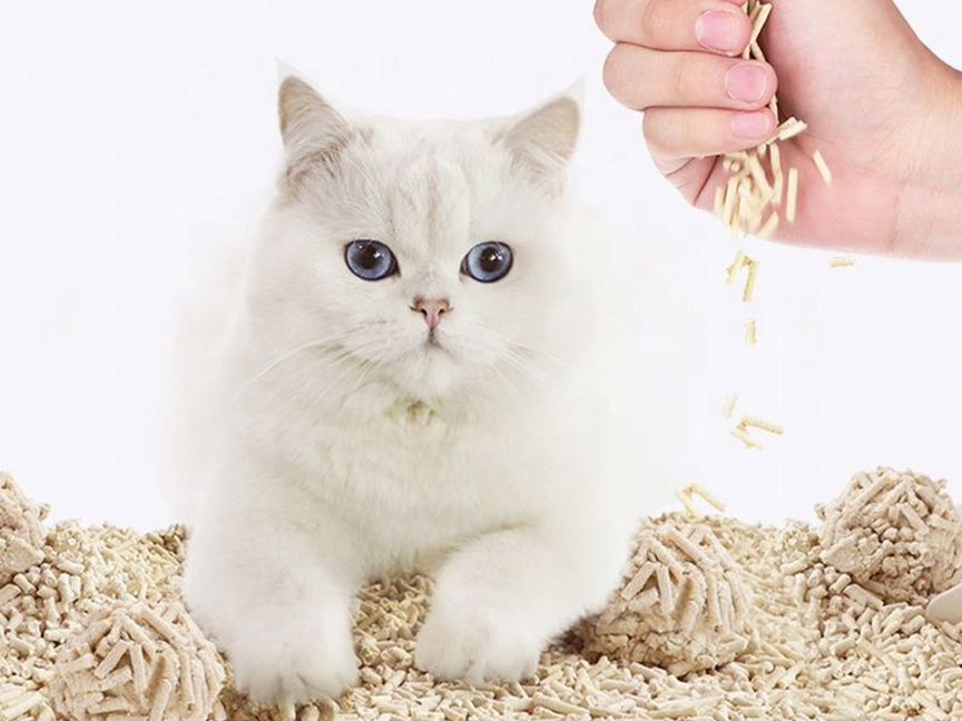 Тофу Люкс наполнитель эксклюзивные ароматы