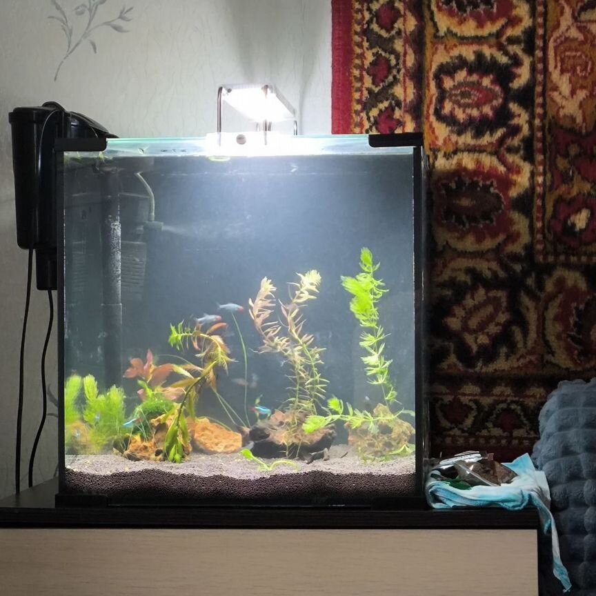 Аквариум кубик