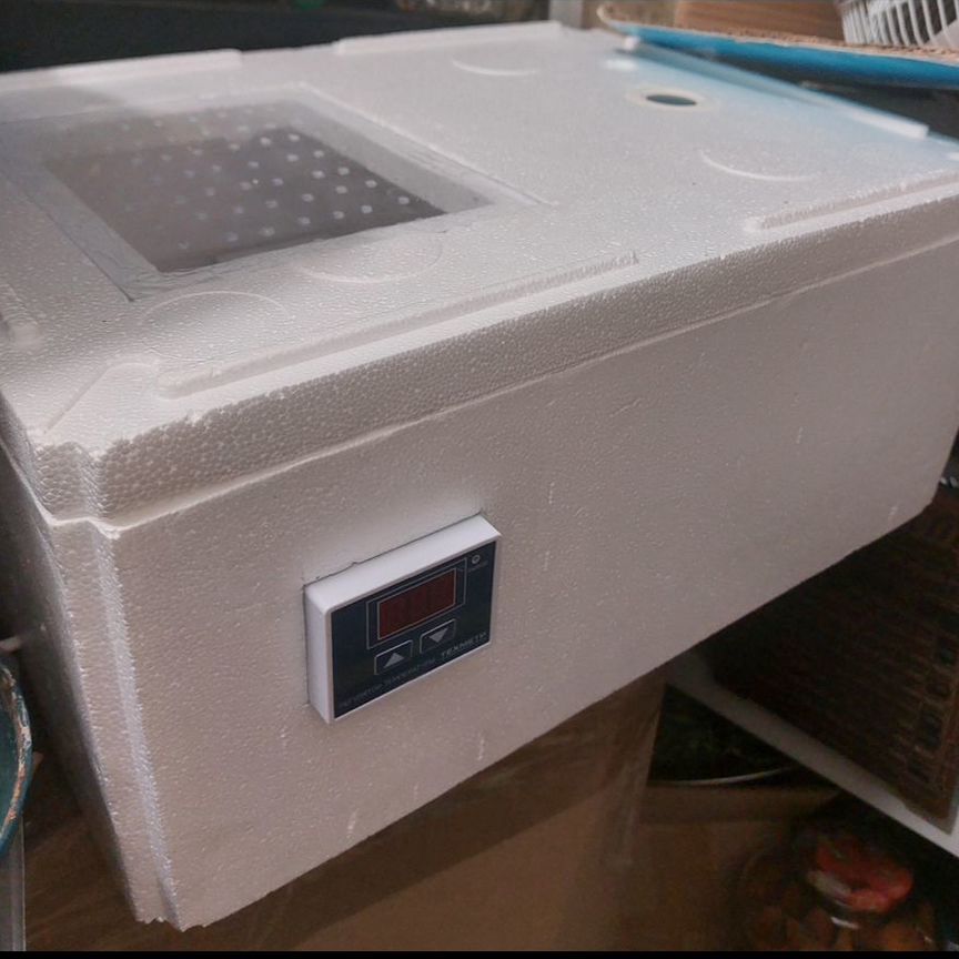 Инкубатор для яиц рептилий