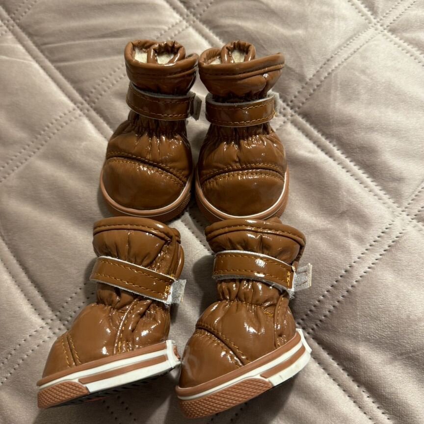 Ботинки для собак мелких пород