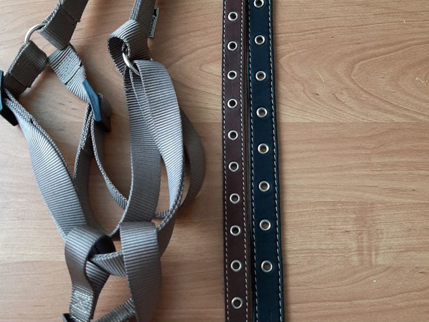 Ошейник для собак кожа,металлическая цепочка