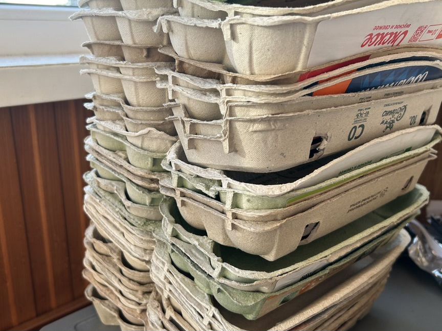 Яичные лотки