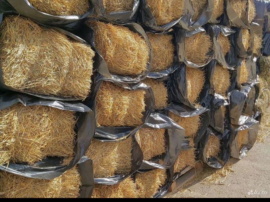 Сена солома