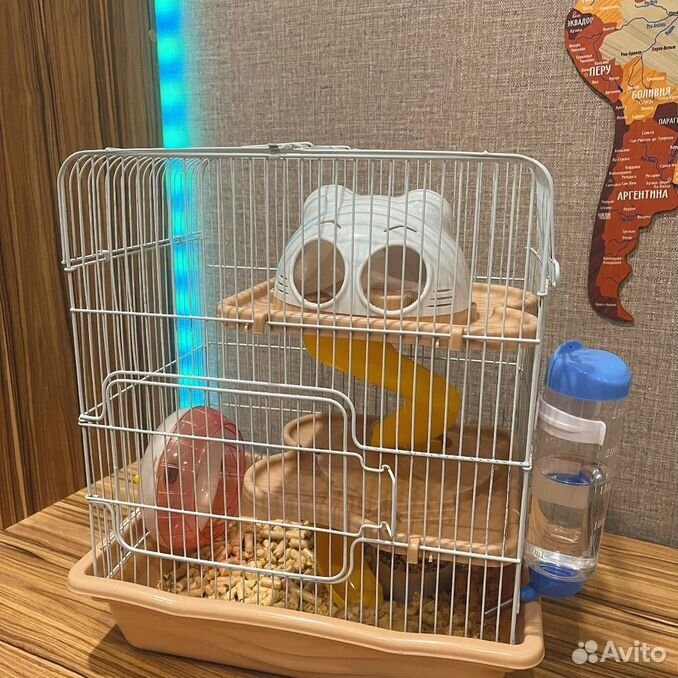 Хомяк девочка с клеткой