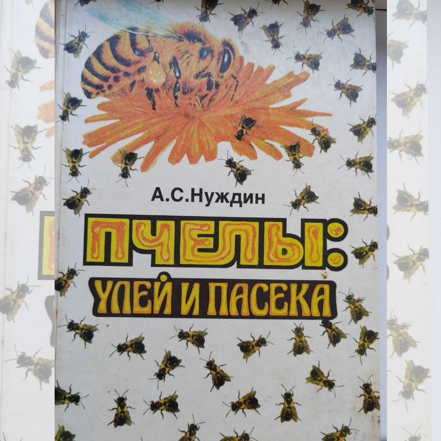 Пчёлы: улей и пасека А.С.Нуждин