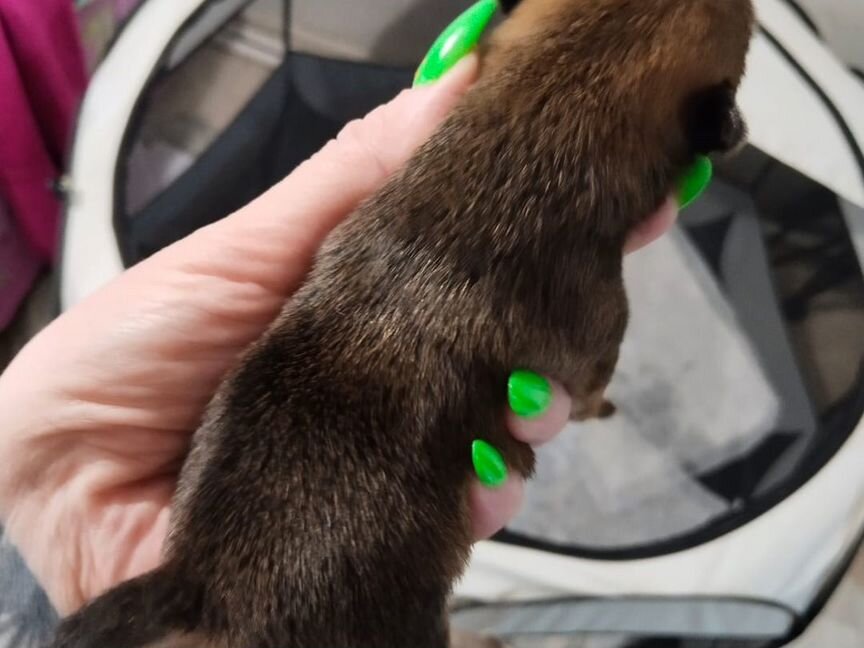 Мальчик красавчик