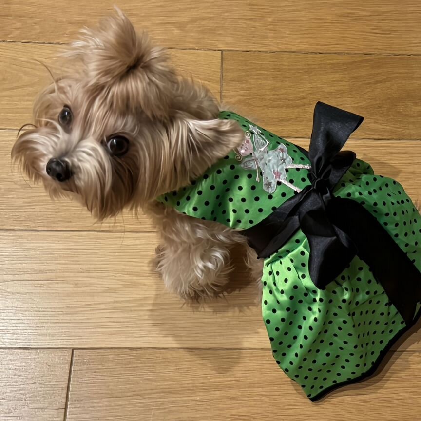 Платье нарядное новогоднее для маленьких собак