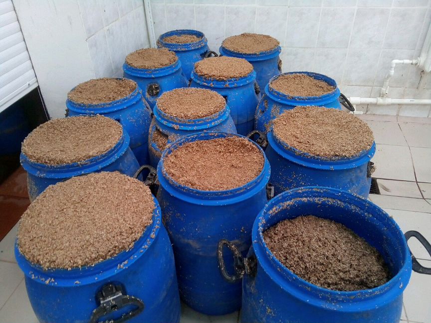 Пивная дробина