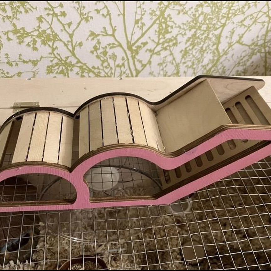 Норка для хомяка