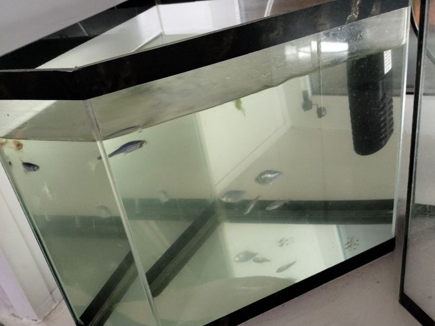 Аквариум с рыбками