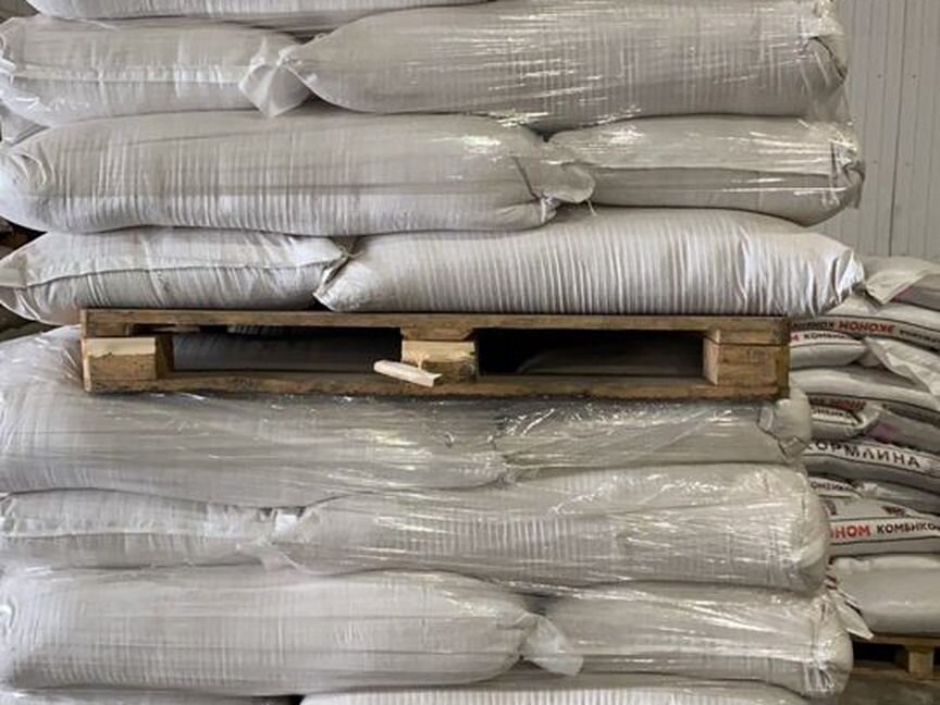 Пшеница овес ячмень кукуруза