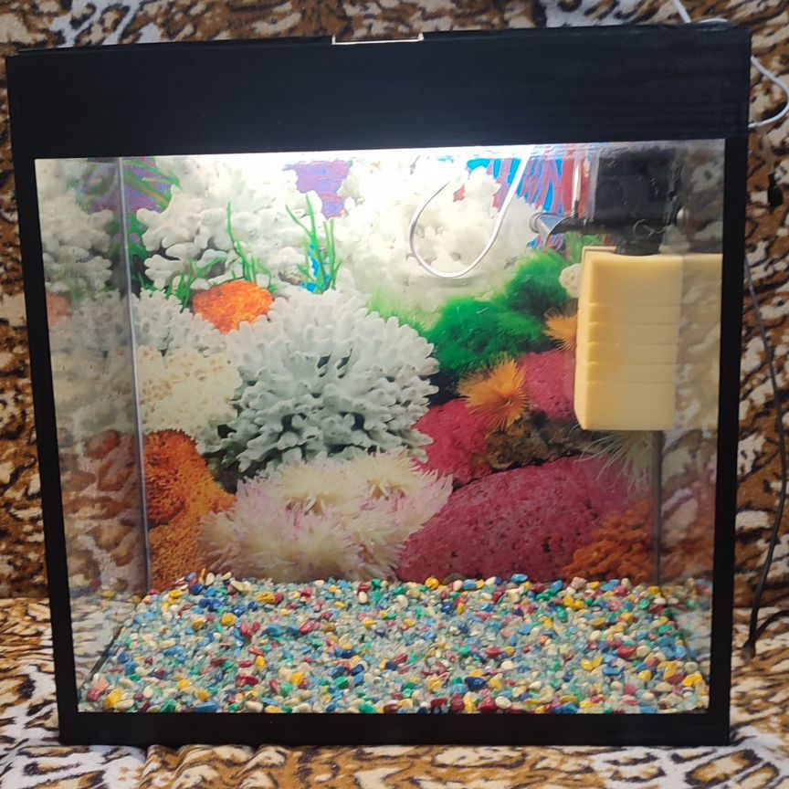 Аквариум комплекте