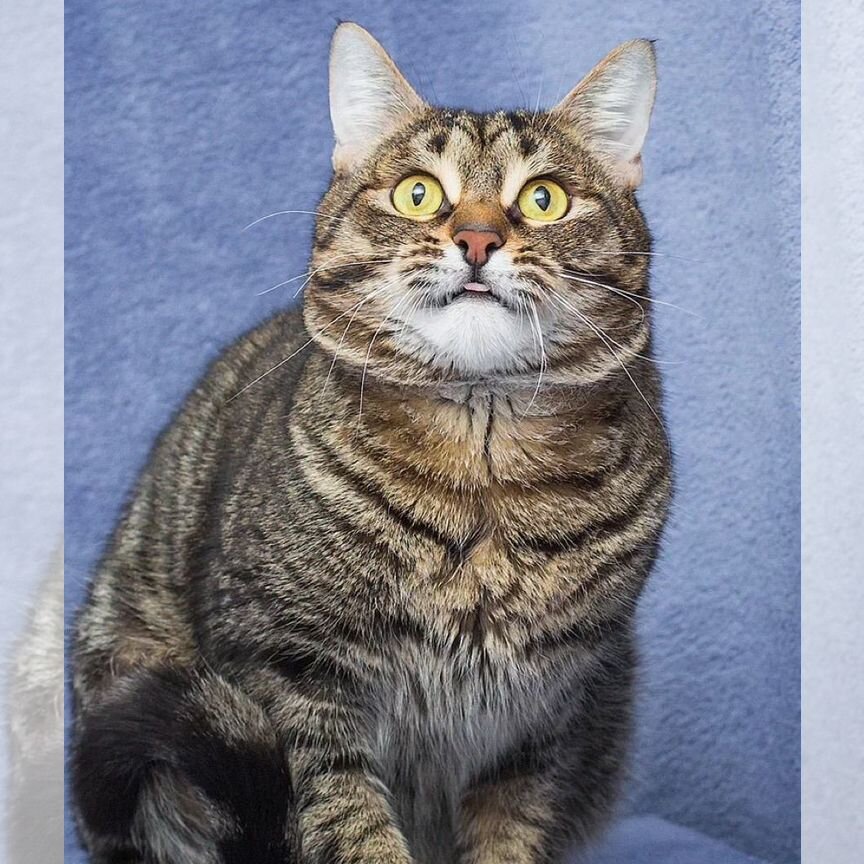 Буквально умирал на улице