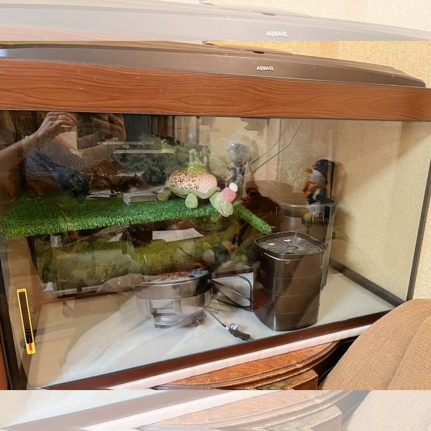 Террариум для красноухой черепахи