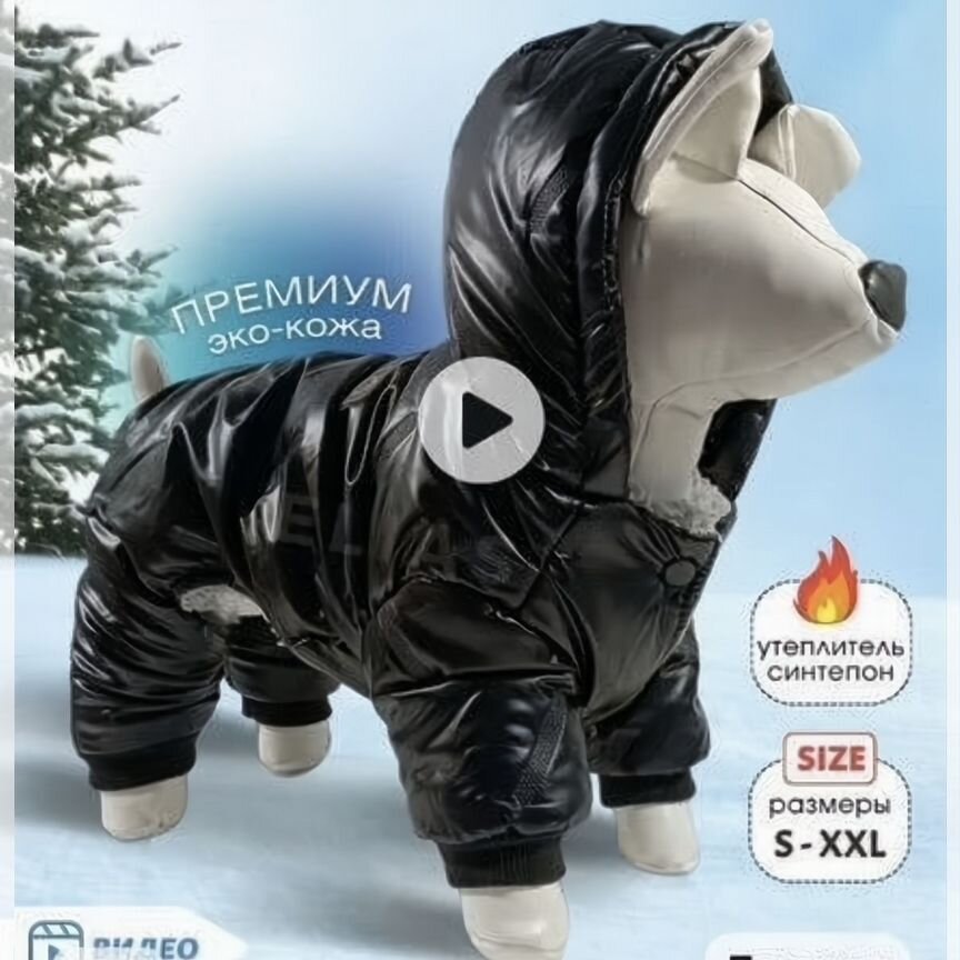 Одежда для собак мелких пород м