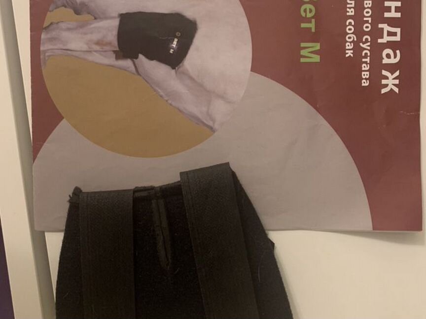 Бандаж для собак