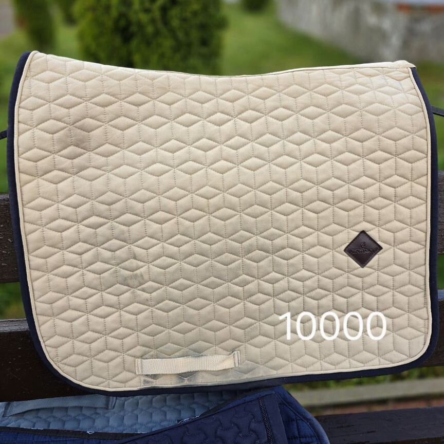 Вальтрапы выездка