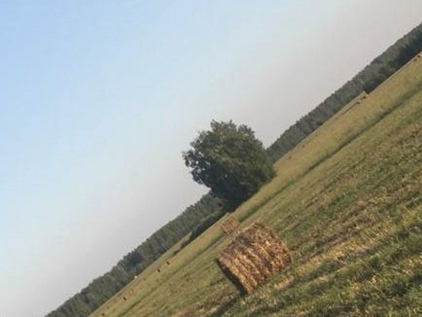 Сено солома в рулонах