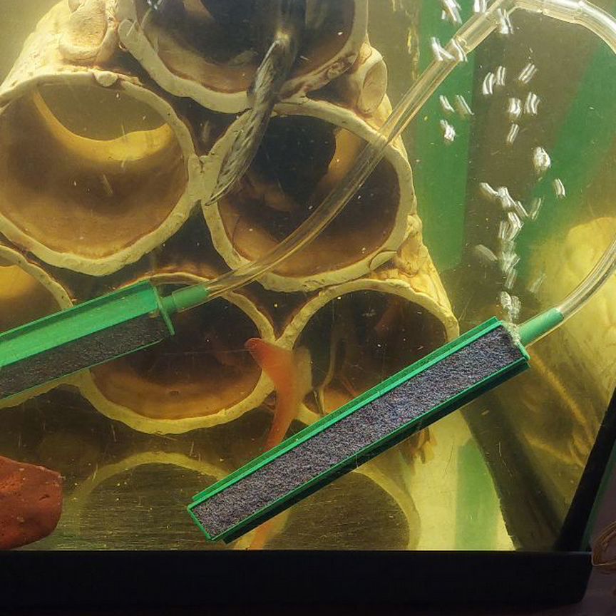 Аквариумные рыбки