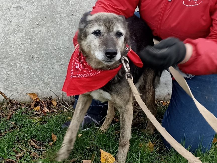 Одинокая Нюрочка