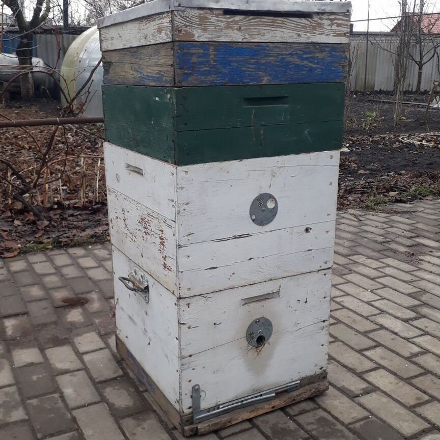 Улей Дадан 10 рамочный
