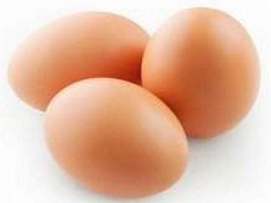 Инкубационное яйцо кобб-500 РФ