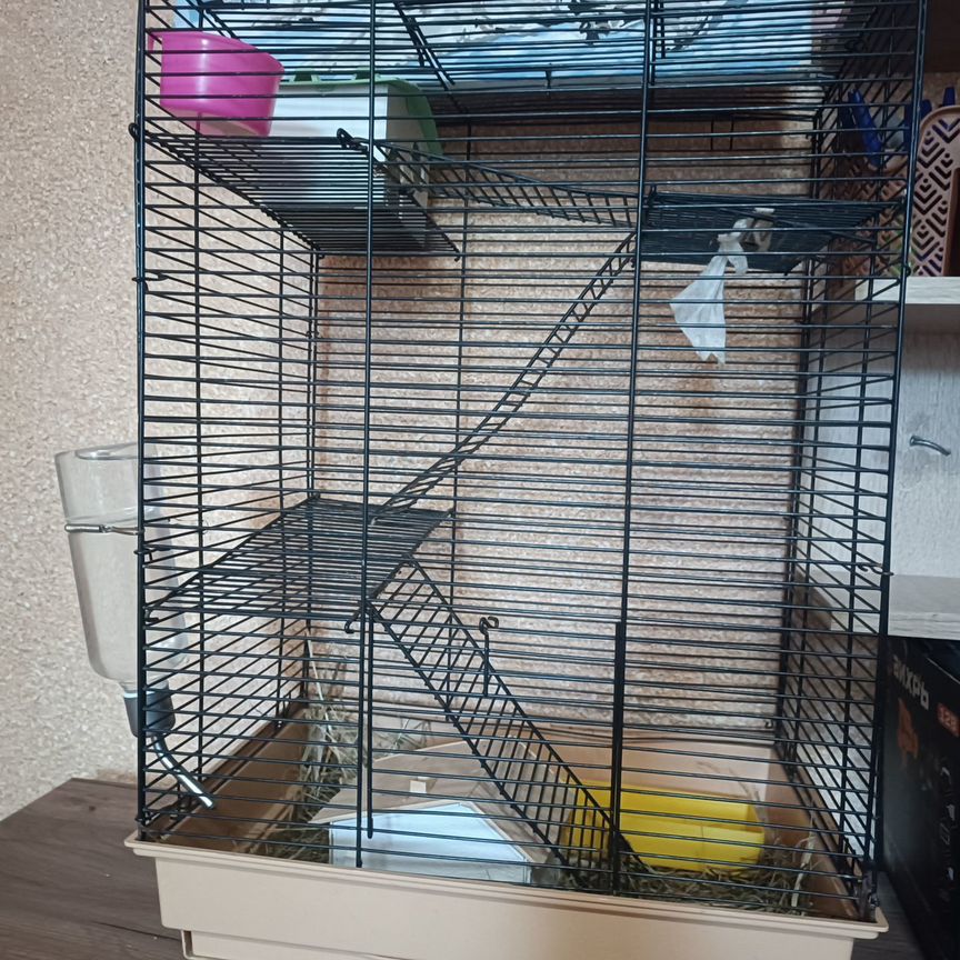 Клетки для крысы