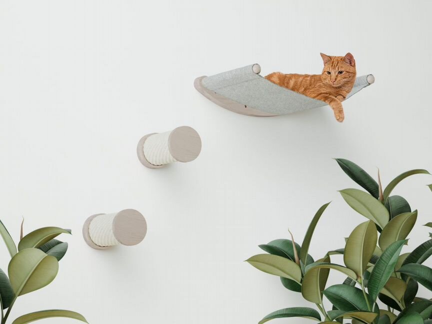 Настенный комплекс для кошек