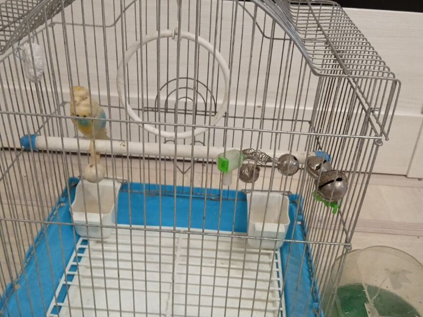 Клетка для попугая, птиц б/у