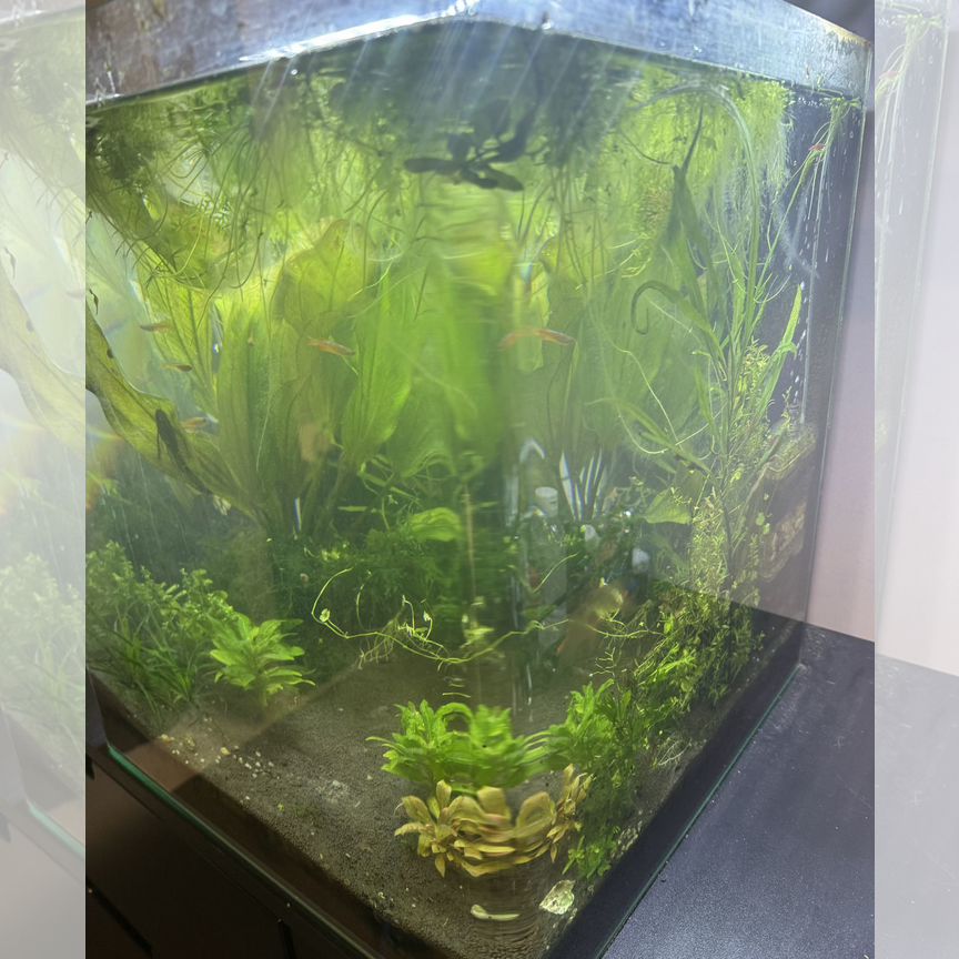 Аквариум dennerle 60