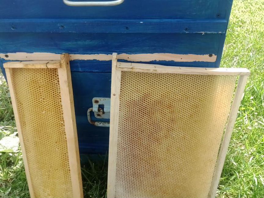 Продам сушь полурамки