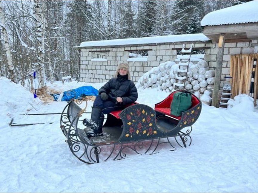 Сани для лошади