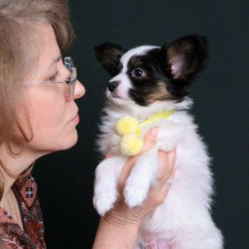 Щенок маленькой породы