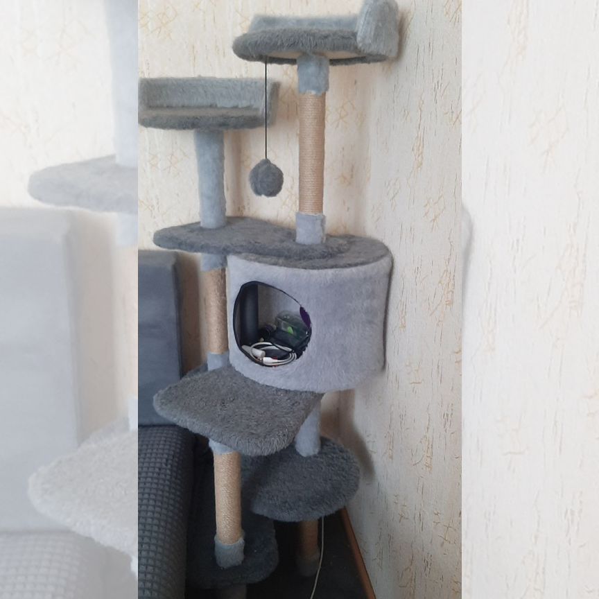 Когтеточка