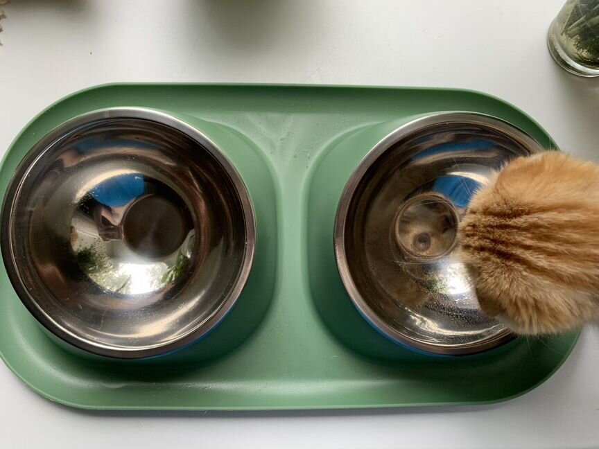 Миска кормушка для животных двойная на подставке