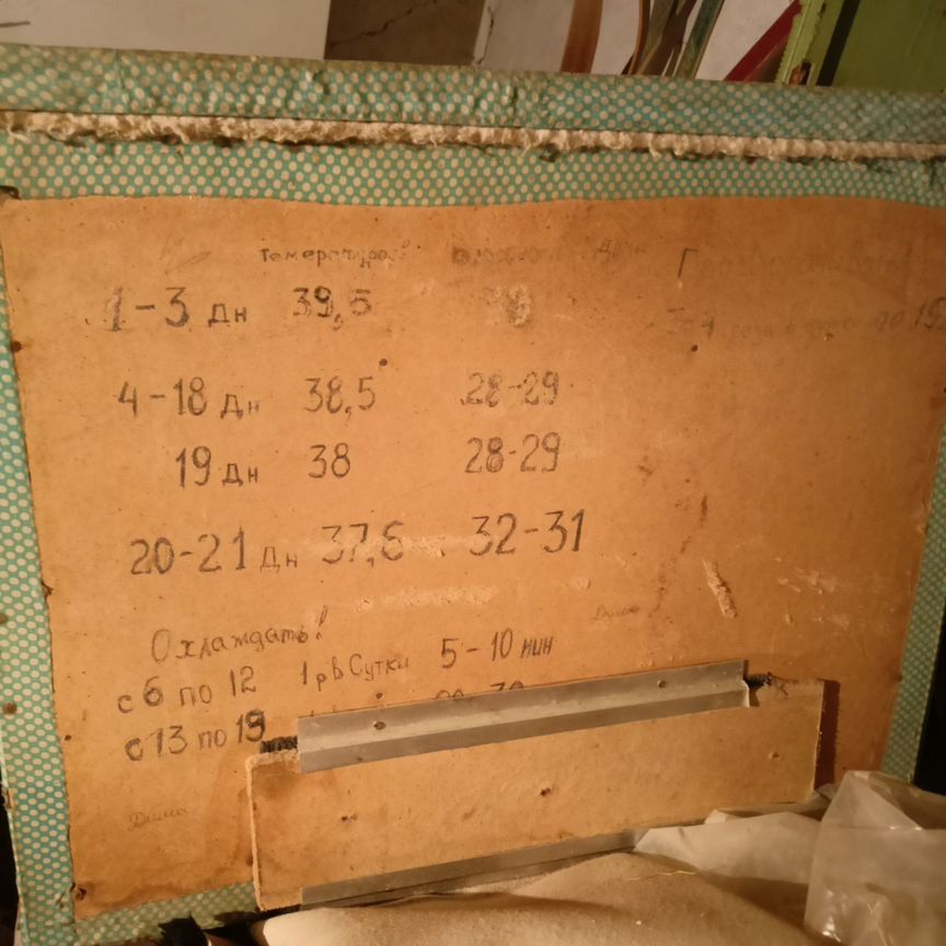 Инкубатор для яиц