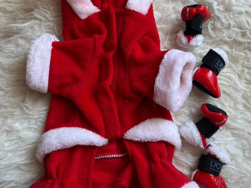 Одежда для собак мелких пород пакетом