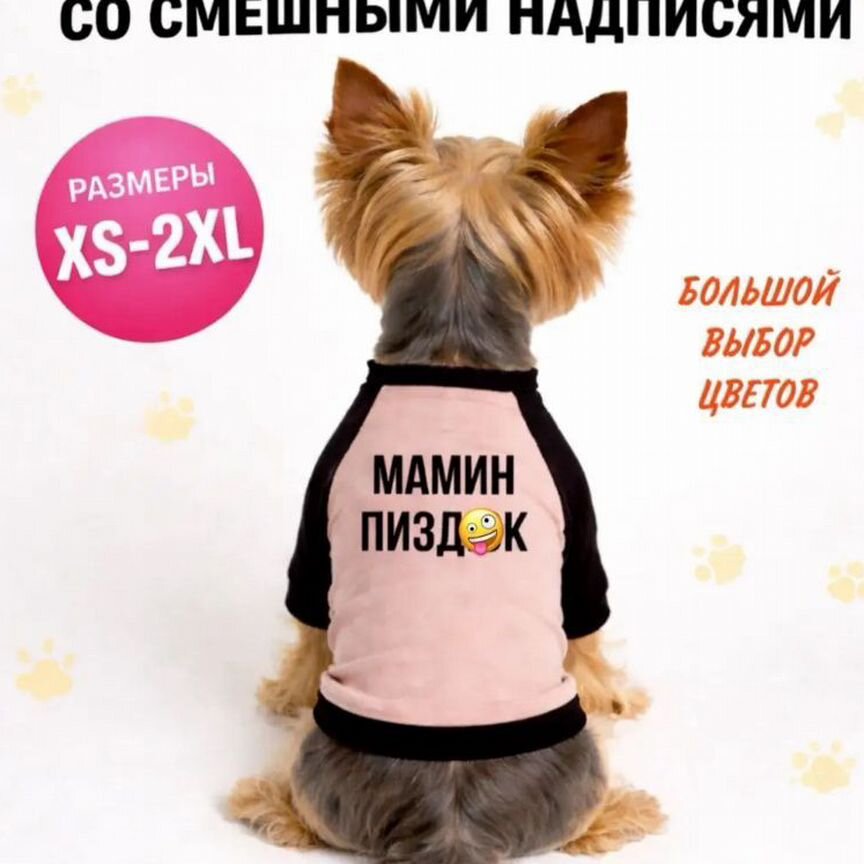 Одежда для собак с приколами