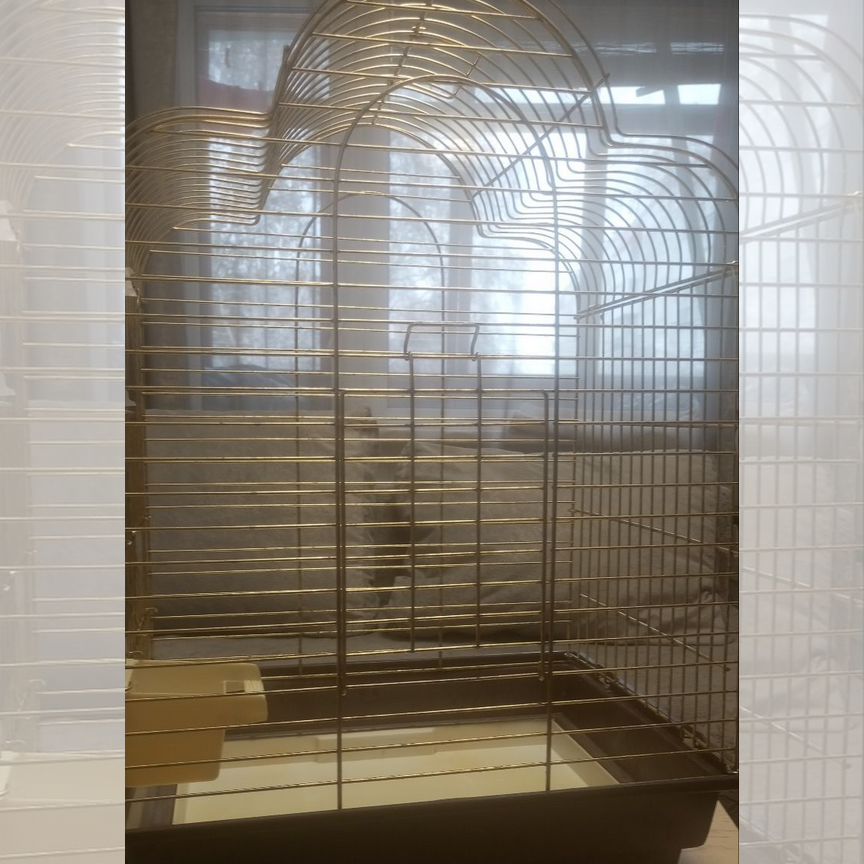 Клетка для попугая