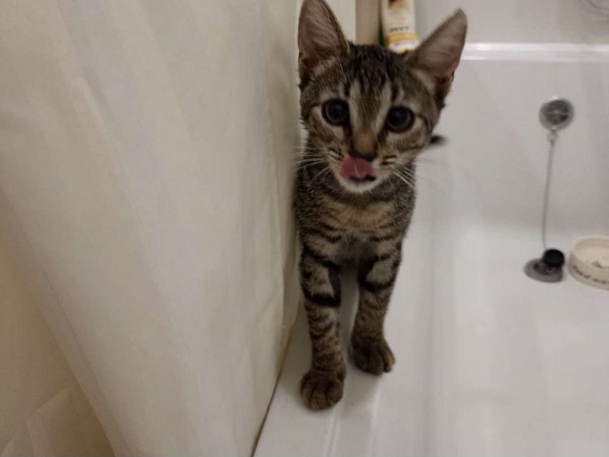 Девочка шипучка 3 месяца