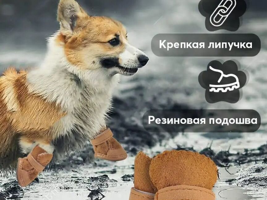 Ботинки для маленьких собак