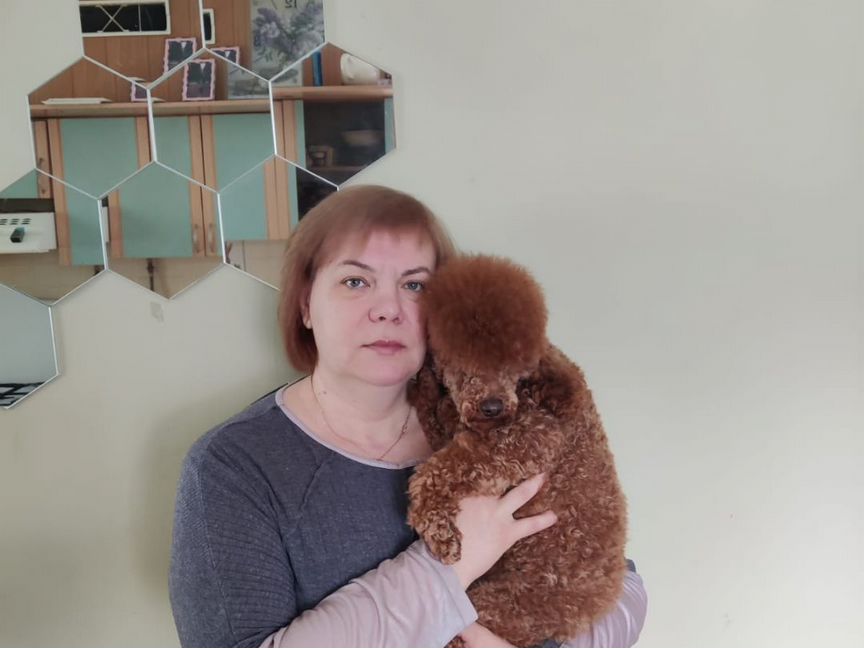 Ред Браун мальчик