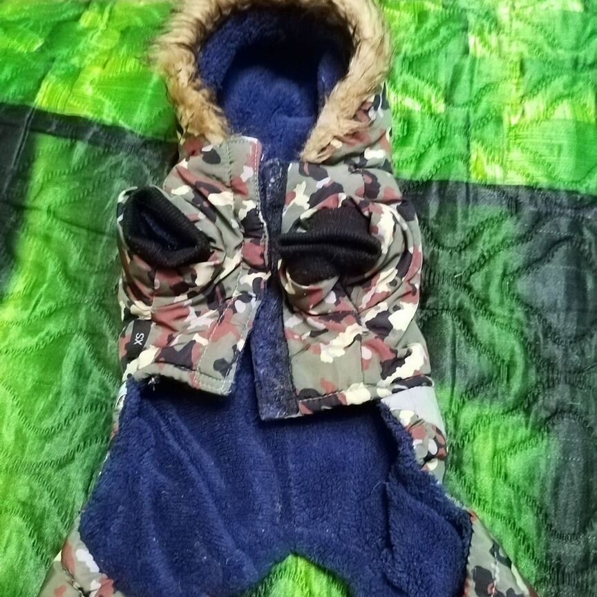 Костюм на осень для мелких пород собак