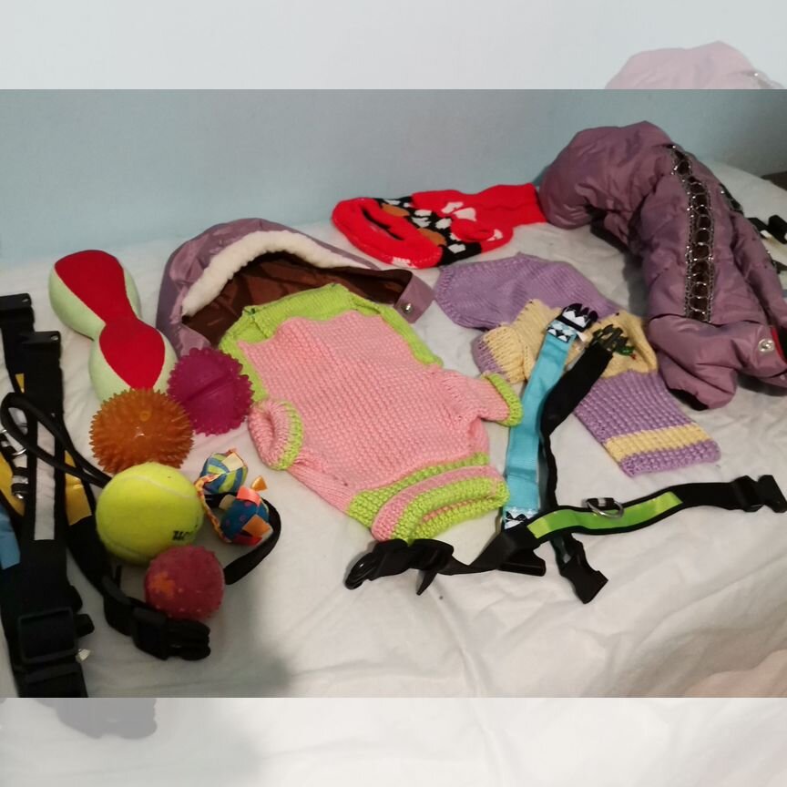 Костюмчик для собак